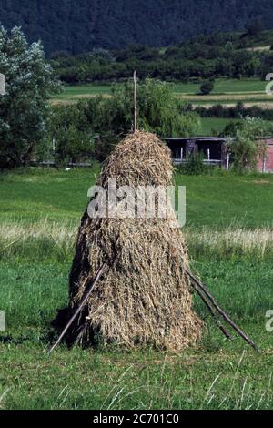 Historic Haystack Romania Green Field Stock Photo - Alamy
