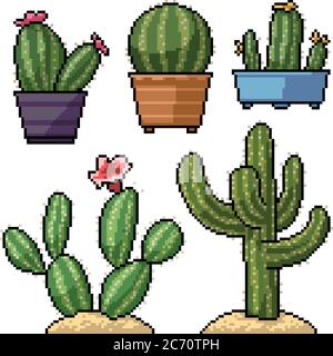 Pixel cactus icon set isolated on white background. Cacti in pixel art ...