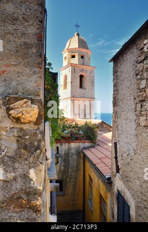 Panorama of the bell tower of Santa Caterina Monastery and vineyards ...