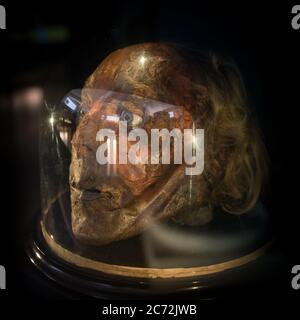 Jeremy Bentham - Mummified Head, on display at the University College ...