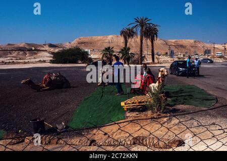 Camel rental place, Israel Stock Photo - Alamy
