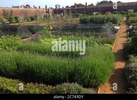 The well-ordered Tiltyard Walled Garden at Hampton Court Stock Photo ...