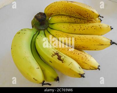 Yellow Ripe Lacatan Bananas Stock Photo - Alamy
