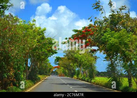 Beautiful rural scene in Mauritius Stock Photo - Alamy