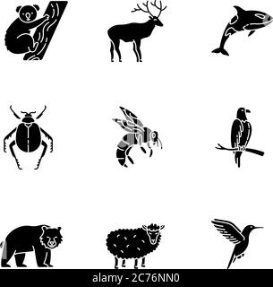 Diverse Forest Icon Vector Glyph Illustration Stock Vector Image & Art ...