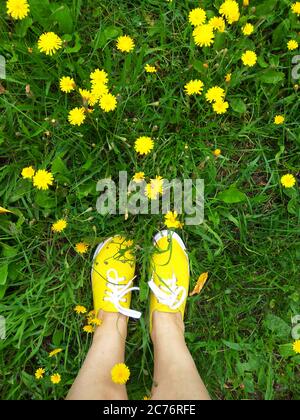 Yellow sneakers with flowers on yellow background Stock Photo - Alamy