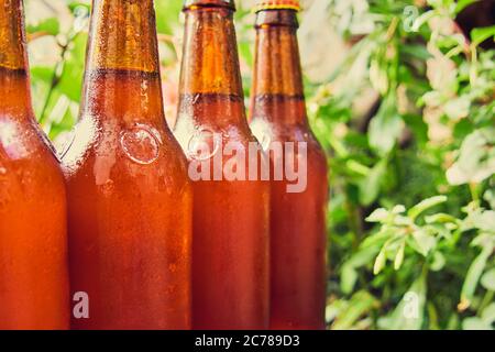 3 green Club Beer bottles, on a table. Ghana, West Africa Stock Photo ...