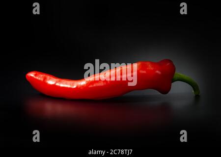 Chili pepper isolated on a black background. Chili hot pepper clipping ...