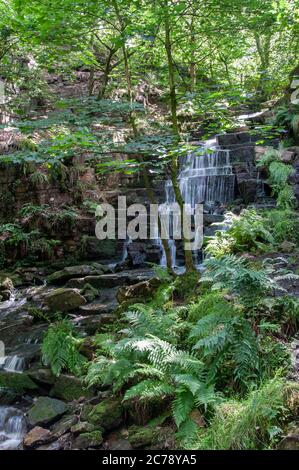 Hatch in Waterfall Stock Photo - Alamy