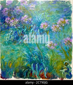 Agapanthus, Claude Monet, 1914-1926 Stock Photo - Alamy