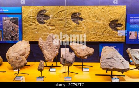 Ichnites, Jurassic Museum of Asturias, Colunga Council, Asturias, Spain ...