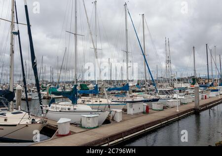 Dock in the marina of Monterey, California Stock Photo - Alamy