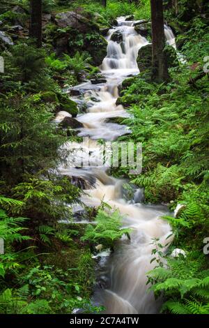 Waterfall, wild river Doubrava in Czech Republic. Valley Doubrava near ...