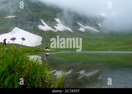 Highlands of Rize province provide suitable areas for camping in spring ...
