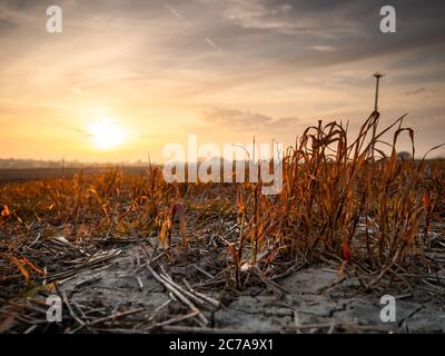 low sunrise shot with the light and red colors reflected in the waves ...