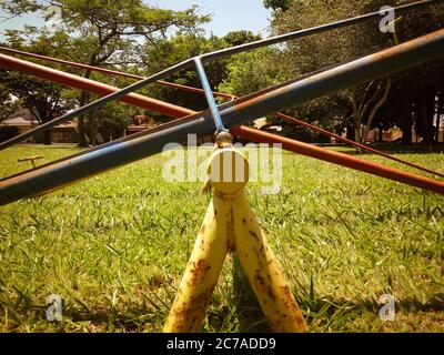 various food dishes, pizza, sphirra, snacks and various Stock Photo - Alamy