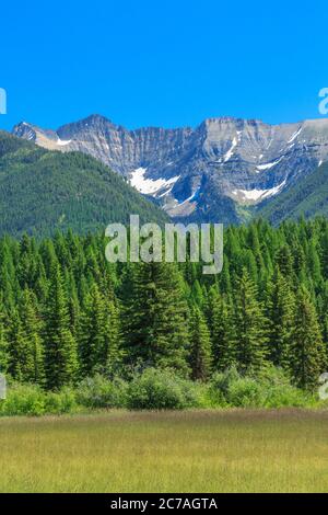 swan peak in the swan range above simmons meadow near swan lake ...