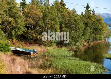 Clear waters of Lake Iliamna, Alaska, revealing spawning sockeye salmon ...