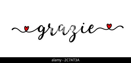 Grazie - thank you in Italian. Modern brush calligraphy. Hand drawn ...