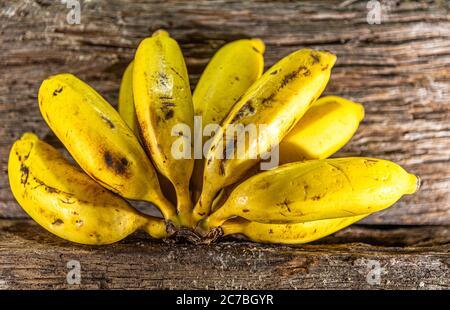 Bunch of bananas. Banana, pacoba or pacova is a pseudobaga of the ...