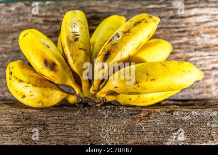 Bunch of bananas. Banana, pacoba or pacova is a pseudobaga of the ...