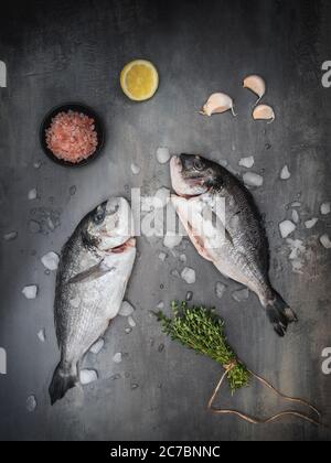 Dorado fish with ice cube on black slate background. Fish pattern. View ...