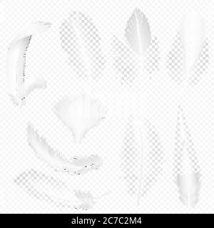 Feather icon on transparent background. Vector Stock Vector Image & Art ...
