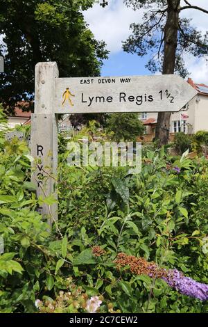 River Lim Path from Uplyme to Lyme Regis, Mill Lane, Uplyme, Devon ...