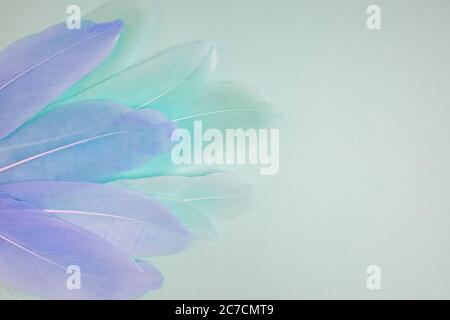 texture colored abstract background closeup Stock Photo - Alamy