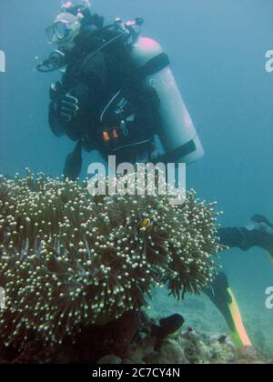 Vertical shot of a scuba diver wearing diving suit and equipment ...