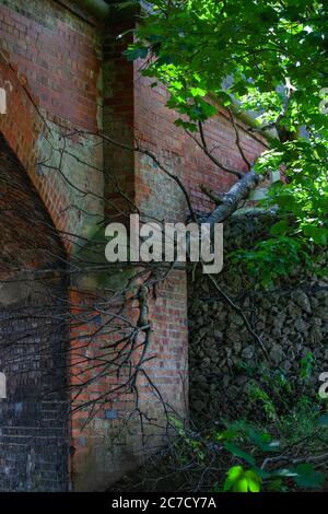 Redundant Victorian Railway bridge, red brick construction. arch ...
