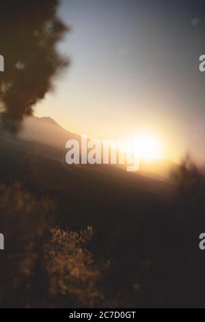Abstract spring background of the setting sun. Green and red yellow ...