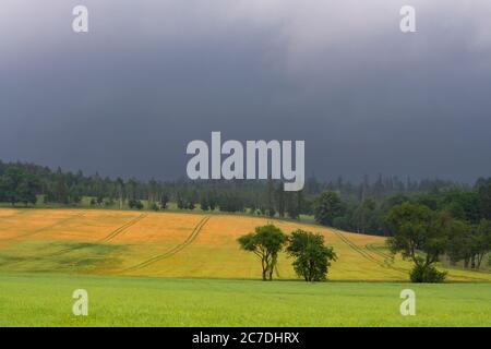 Cultivated fields and forests before a big storm Stock Photo - Alamy