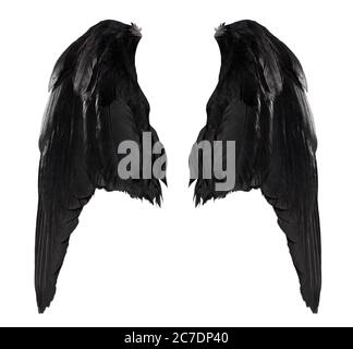 black raven spread wings isolated on white background Stock Photo - Alamy