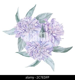 Peony bouquet floral botanical flowers. Wild spring leaf wildflower ...