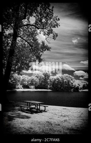 Infrared greyscale scenery of a park under the cloudy sky Stock Photo ...