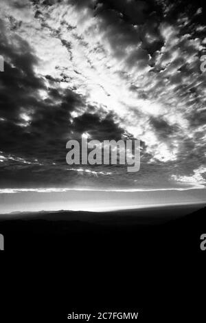 Greyscale shot of the sun shining behind the trees in a forest Stock ...