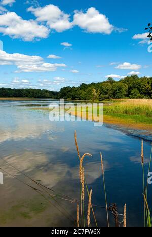 paysage de La Dombes in the Ain department in France Stock Photo - Alamy