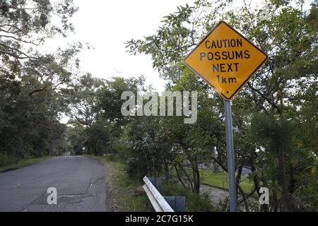 Caution possums next 1km road sign on Chowder Bay Road, Mosman, Sydney ...