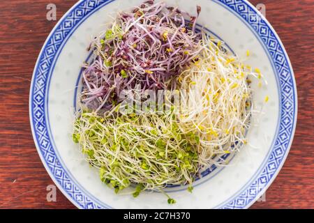 Three colors alfalfa served on a chinese plate Stock Photo - Alamy