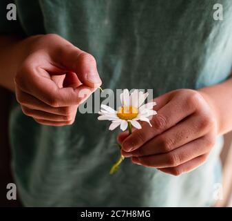 Close-up of child's hands picking up flowers Stock Photo - Alamy