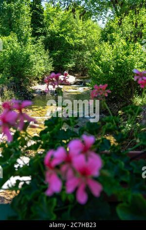 A quiet relaxing and shady area in a back garden under a pergola and ...