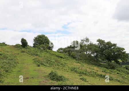 Musbury Castle iron-age hill fort, Devon, England, Great Britain ...