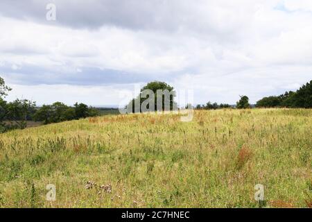 Musbury Castle iron-age hill fort, Devon, England, Great Britain ...