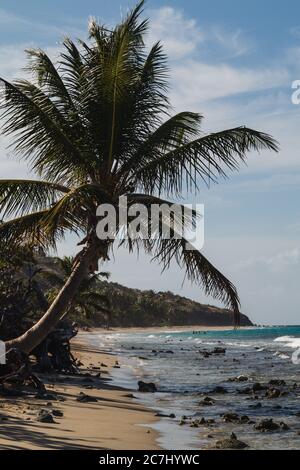 A wide shot of Zoni Beach in Culebra, Puerto Rico with the Caribbean ...