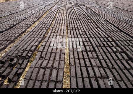 Lines of turf from a peat bog laid out ready for footing in County ...