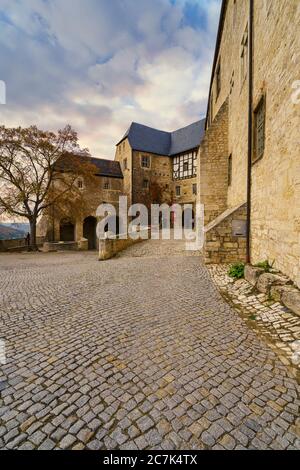 Neuenburg Castle and vineyards near Freyburg, Burgenlandkreis, Saxony ...