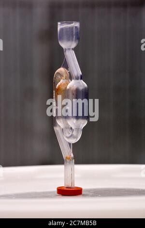 Photo Picture of an Home beer brew Tool Stock Photo - Alamy