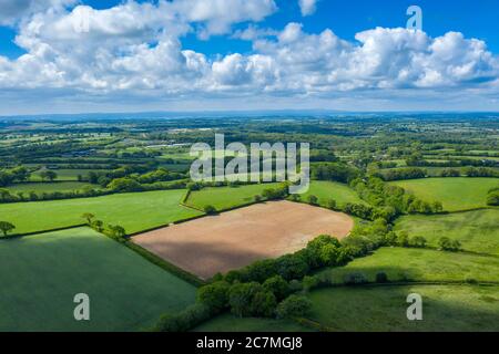 Spring in Devon near Tiverton, Devon, England, United Kingdom, Europe ...