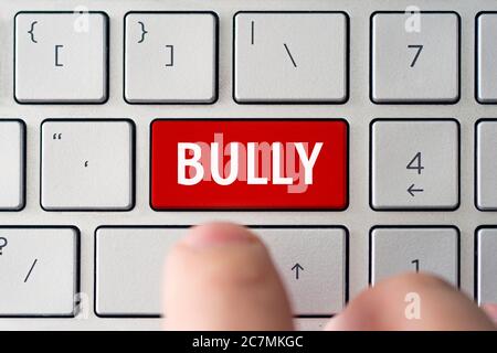 bullying, cybermobbing, bully, mobbing Stock Photo - Alamy